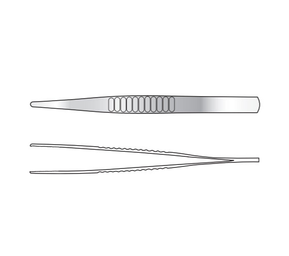 Post Mortem Block End Dissecting Forceps - Surgical Holdings