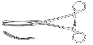 LANE INTESTINAL FORCEPS