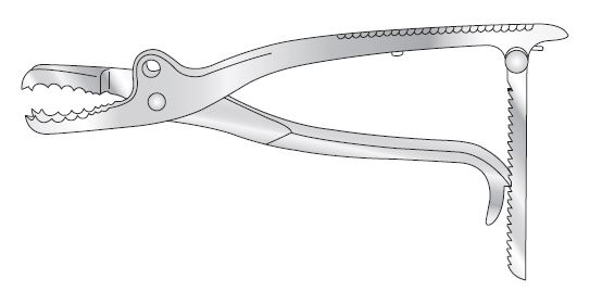 FARABEUF LAMBOTTE BONE HOLDING FORCEPS