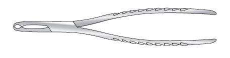 HARRISON BONE HOLDING FORCEPS