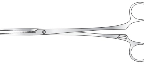Roberts Artery Forceps - Surgical Holdings